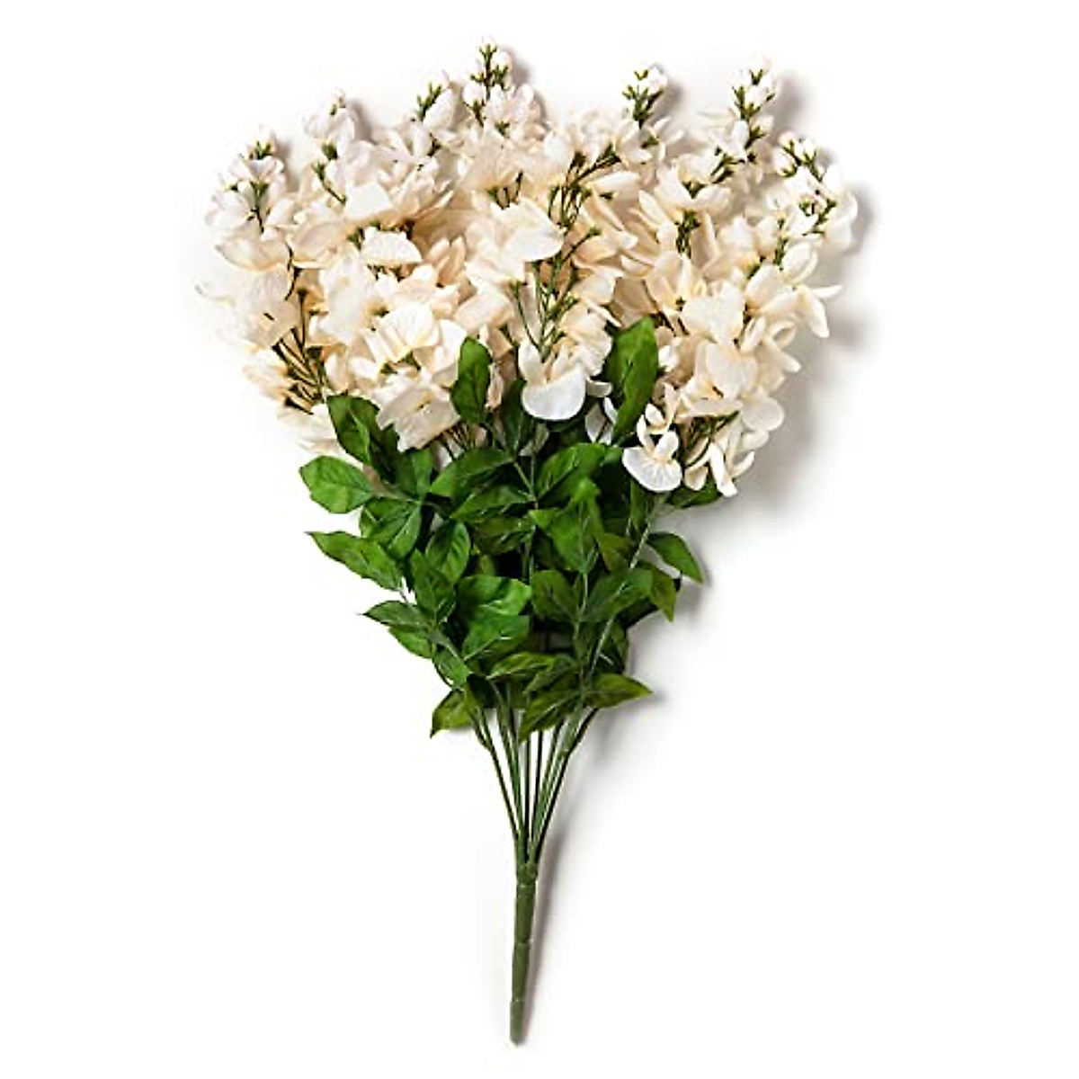 Ashland Michaels Cream Wisteria Bush