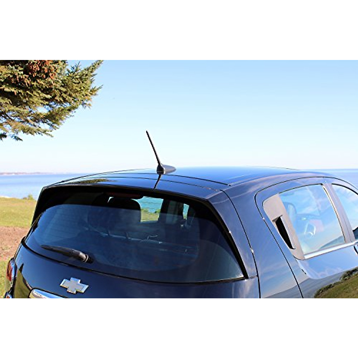 AntennaMastsRus - 8 Inch Screw-On Antenna is Compatible with Ford Fusion (2006-2020)