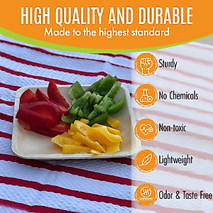 Raj Eco Compostable Palm Leaf Plates Like Bamboo Plates Disposable - 6 Inch Square 50 Party Plates, Natural Wooden, Eco-Friendly, Fancy Biodegradable & Disposable Dessert Appetizer Plates