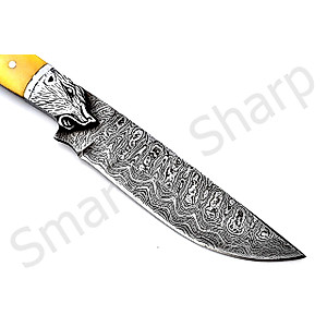 Smart & Sharp Custom Handmade Damascus Steel Hunting Knife/Skinning Knife AA-17287 (Natural Bone and Multi Color Wood)