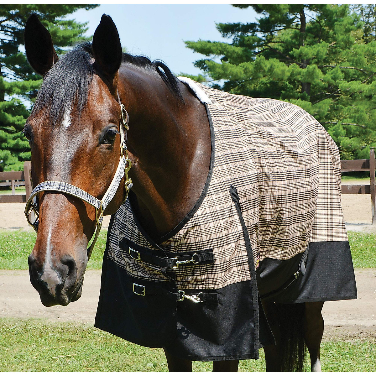 5/A Baker Turnout Sheet for Horses Black Label - Size 80 Plaid