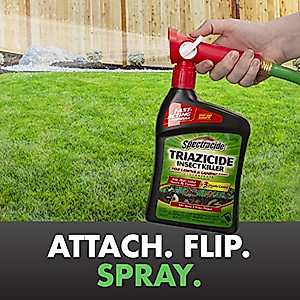 Spectracide Triazicide Insect Killer For Lawns & Landscapes Concentrate (Ready-To-Spray), Protects Lawns, Vegetables, Fruit & Nut Trees, Roses, Flowers, Trees & Shrubs, 32 fl Ounce