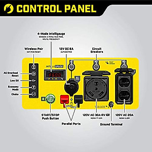 Champion Power Equipment 200953 4250-Watt Open Frame Inverter, Remote Start