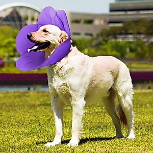 POPETPOP Small Dog Recovery Collar - Cute Cat Flower Neck Cone After Surgery, Adjustable Pet Collar, Surgery Recovery Elizabethan Collars for Small Pets (Purple, M)