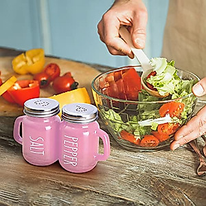 Pink Salt and Pepper Shakers Set - DAYYET 4 oz Pink Kitchen Decor and Accessories for Home Restaurants Weddings - Cute Glass Shaker Sets with Stainless Steel Lids