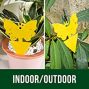 Garsum Gant Traps for Indoors,Fruit Fly Bugs Trap, Yellow Sticky Fungus Knit Killer for Houseplant,Mosquito, Flying Insert, White Flies,18 Pack