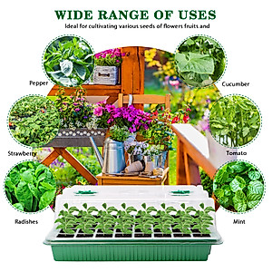 MQFORU 2 Pack Seed Starter Trays with Grow Light, 80 Cell Seed Starter Kit with Timer, Adjustable Domes, Plant Starter Trays Kit for Propagation, Cloning Plants, Seed Germination