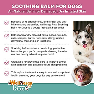 Wellnergy Pets Soothing Balm for Dogs - Natural Paw Protection and Skin Soother for Dry Paw Pads and Noses - Vet Formulated Elbow Butter and Dog Foot Cream - Dog Snout Balm and Dog Feet Moisturizer