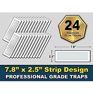 MaxGuard Glue Trap Strips (24 Traps) Non-Toxic Extra Sticky Glue Board Pre-Baited with Fruity Scent Attractant Trap & Kill Insects, Bugs, Spiders, Crickets, Scorpions, Cockroaches, Centipedes, Mice
