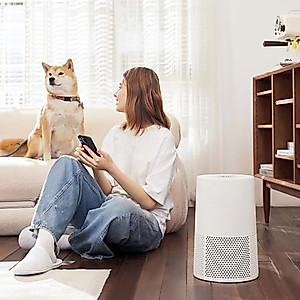 Amazon Basics - Air Purifier Replacement 3-In-1 Filter for Amazon Basics Air Purifier B0CL993435 (NOT for other models), Covers Up to 1067 Sq Ft, 1 Pack