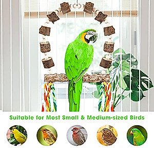 PRAZONVEE Bird Swing 7.8", Bird Perch Stand, Natural Wood Cage Accessories, Hanging Swing Bird Toys Suitable for Parrotlets Budgies Cockatiels Parakeets Lovebirds