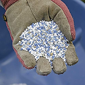 GreenView Weed & Feed - 7 lb. - Covers 2,500 sq. ft.