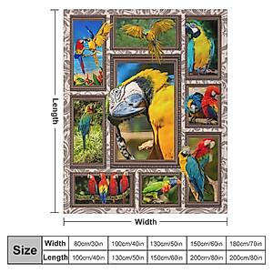 Parrot Bird Blanket Parrot Bird Gifts for Boys Men Parrot Bird Throw Blanket for Couch Sofa Bed Soft Warm Flannel Fleece for adults40 x50