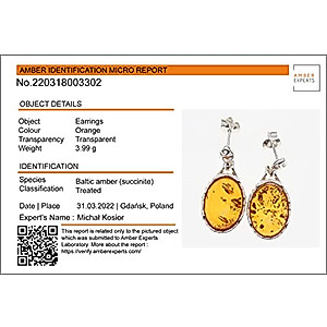 Amber Earrings - Sterling Silver Baltic Honey Oval Amber Earrings - Sterling Silver Jewelry Collection