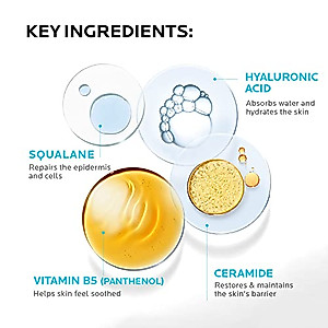 ZealSea Body and Face Moisturizer with Hyaluronic Acid and Ceramide, Daily Facial and Body Lotion, Day and Night Hydrating Moisturizing Cream for All Skin Types, Hydrate and Soothe Dry Skin, 10.2 oz