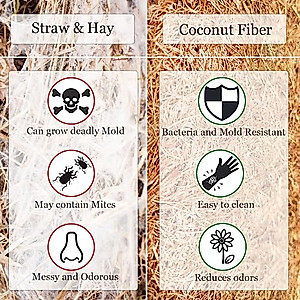 SunGrow Coco Fiber Hermit Crab & Reptile Carpet, Gecko Terrarium Liner, and Floor Bedding Substrate & Supplies, Climbing Wall Carpet & Mat for Hermit Crabs, 10" x 13", 1 Piece Per Pack