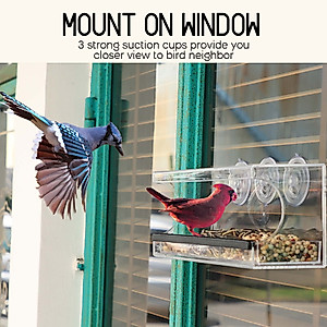 MrCrafts Window Bird Feeder for Outside with Strong Suction Cups, Fits for Cardinals, Finches, Chickadees etc