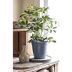 The HC Companies 8 Inch Eclipse Round Planter with Saucer - Indoor Outdoor Plant Pot for Flowers, Vegetables, and Herbs, Clay