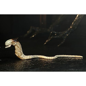 NECA Aliens Alien 3 Dog Alien Ultimate 7IN Action Figure