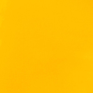 Liquitex BASICS Acrylic Paint, 400ml (13.5-oz) Bottle, Primary Yellow