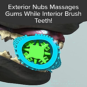 BulbHead BrushBone Toothbrush, Dogs Chewing, Plaque and Tartar Remover for Teeth, Works 3 Ways to Clean While They Play, Invented by a Dentist & His Hygienist Wife, 1 Count (Pack of 1), Brush Bone