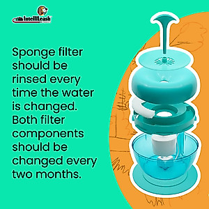Purrfect Water Fountain Filter Set: 5-Layer Filter and Sponge Filter