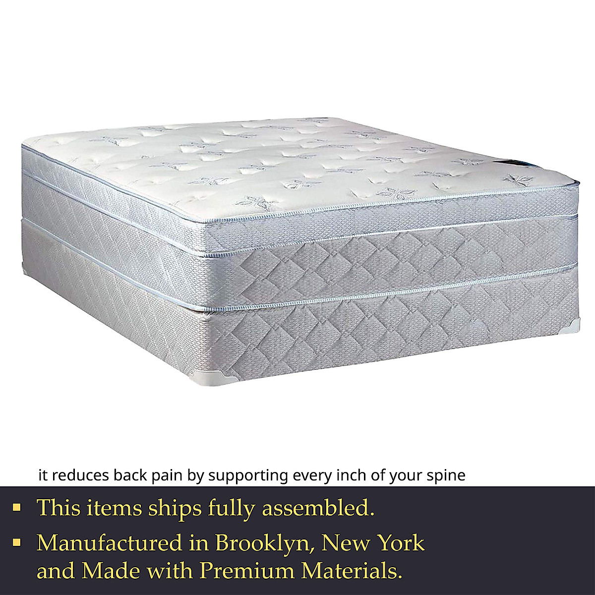 Nutan 10-Inch Plush Foam Encased Hybrid Eurotop Innerspring Mattress and 8" Wood Boxspring/Foundation Set, Twin