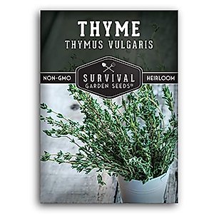 Survival Garden Seeds - Thyme Seed for Planting - Packet with Instructions to Plant and Grow Thymus Vulgaris Herb Plants in Your Home Vegetable Garden - Non-GMO Heirloom Variety