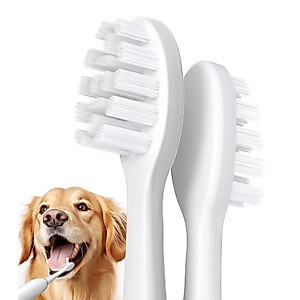 LOOBANI 2 Packs Dog Tooth Brush Replacement - Compatible LBHC001 Dog Tooth Cleaner, White