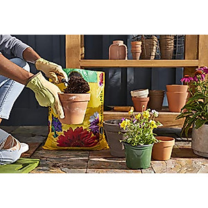 Miracle-Gro Potting Mix, 16 qt., 2-Pack