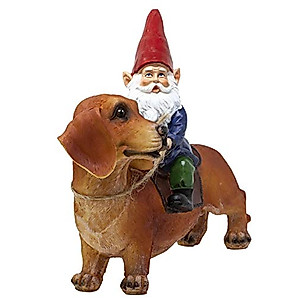 Funny Guy Mugs Gnome and a Dachshund Garden Gnome Statue- Indoor/Outdoor Garden Gnome Sculpture for Patio, Yard or Lawn