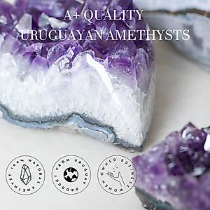 DEEP PURPLE PROJECT Large Amethyst Clusters 1 Lb to 1.7 Lb Quartz Crystal Geode Plus: Premium Gift Box Spiritual Healing Stone