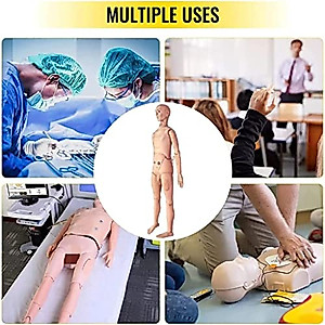 Basic Geriatric Nursing Skills Training Manikin, Geriatric Patient Care Skills Mannequin with Interchangeable Genitals and Trauma Modules for Nursing Medical Training Teaching Medical
