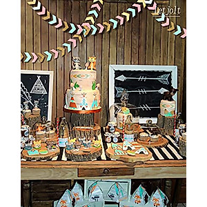 Mint Coral Arrow Banner Tribal Party Supplies Wild One Boho Garland Gender Reveal Party Baby Shower Decorations Back to School Classroom Garland Graduation Nursery Decorations 13 Feet 42 Pcs