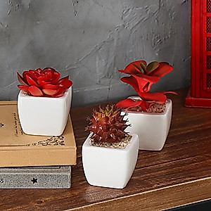 MyGift Assorted Artificial Red Succulent Plants, Mini Fake Desert Plants in White Square Pots, Set of 3