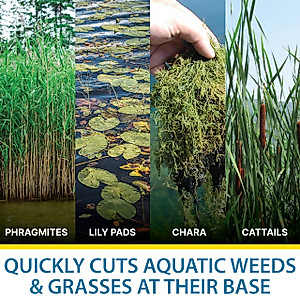 Jenlis The Original Weed Razer, Lake Weed Cutter, Large Pond Aquatic Plant Cutting Tool, Long and Sharp Razor Blades Shear Cattail, Reed, Lilly & Chara Algae, 48 Inch Cut Width, 25 Foot Throw Rope