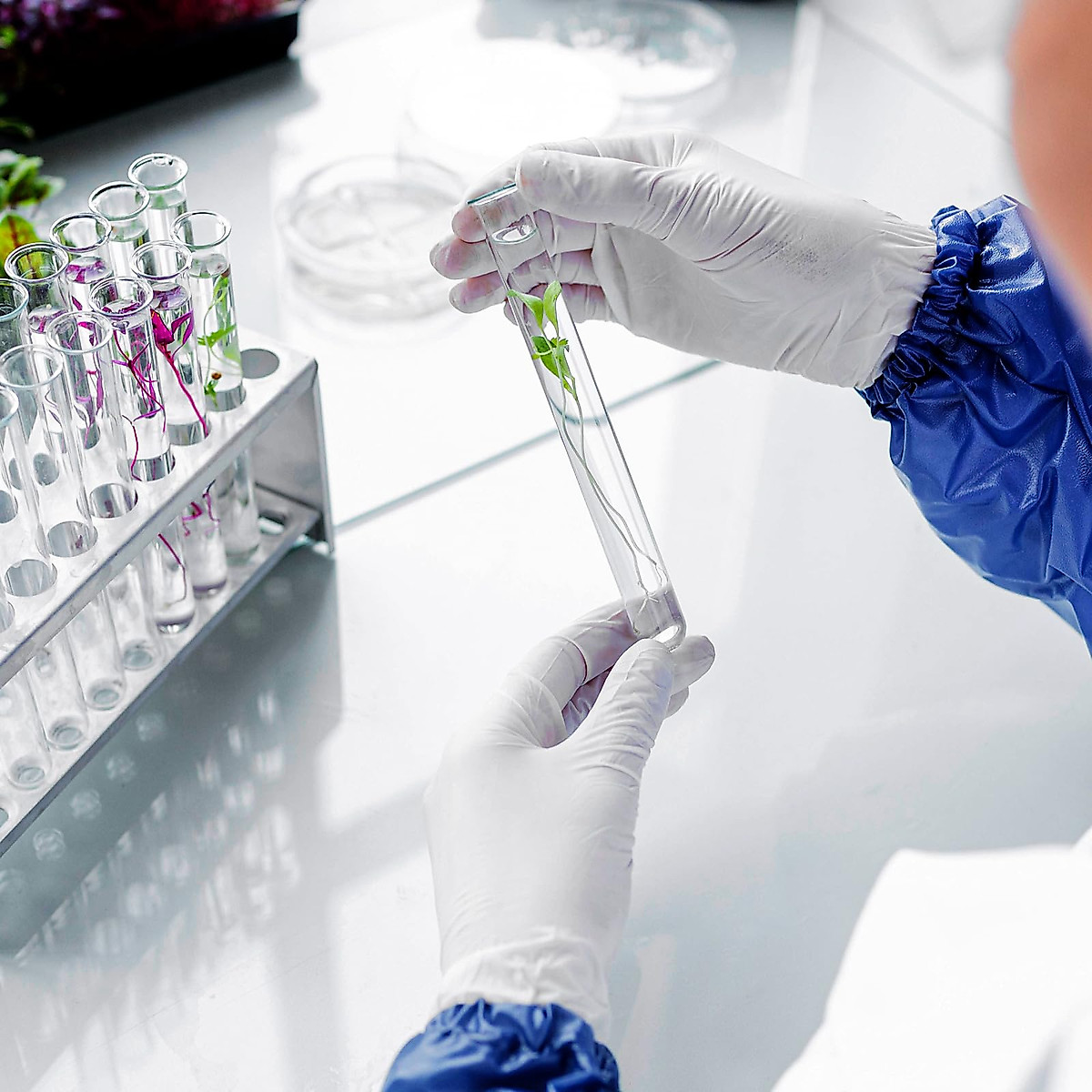 Plastic Test Tubes with Lids, 15x100mm (15ml) Clear Vials with Seal Cap Container Transparent Test Tubes with Cork Stoppers for Jewelry Seed Beads Powder Spice Liquid Storage (15 PCS)