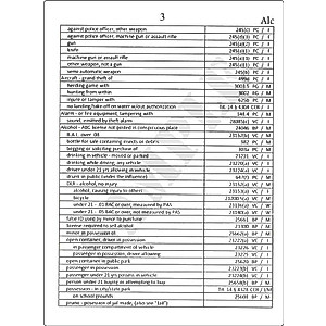 POCKET BRAINBOOK California Police Edition - 2022 Edition
