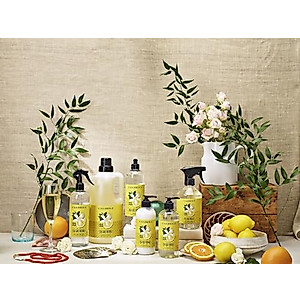 Caldrea Dish Soap, Biodegradable Dishwashing Liquid made with Soap Bark and Aloe Vera, Sea Salt Neroli, 16 oz