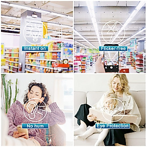 Marxlait 24 Pack T8 LED Bulbs 4FT, 6000K Daylight, 40W Equivalent, Ballast Bypass, Dual Ended Type B Light Tube, LED Fluorescent Tube Replacement T8 T12, Non-dimmable