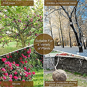 Natural Burlap Tree Wrap Burlap Rolls for Gardening Tree Trunk Wrap Fabric Tree Protector Burlap Wrap Plants Bandage for Keeping Warm and Moisturizing (2 Rolls,7.9 Inches Width)