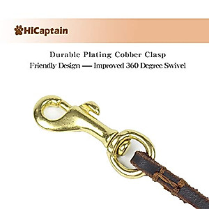HiCaptain Thin Leather Pet Leash, Durable Dog Leashes Suit for Small Dog Up to 15 lb 00(1/5 inch Wide, 6 Ft) Brown