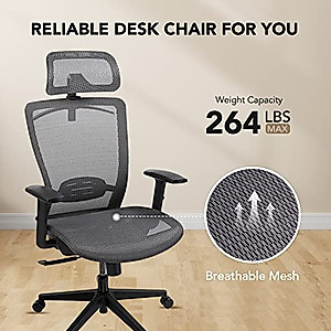 Ergonomic Office Chair Swivel Height Adjustable Computer Desk Chair Home Office Desk Chairs with Lumbar Support Gray