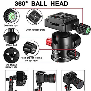 MACTREM Professional Camera Tripod with Phone Mount, 62" DSLR Tripod for Travel, Super Lightweight and Reliable Stability, Ball Head Tripod Detachable Monopod with Carry Bag (Black)