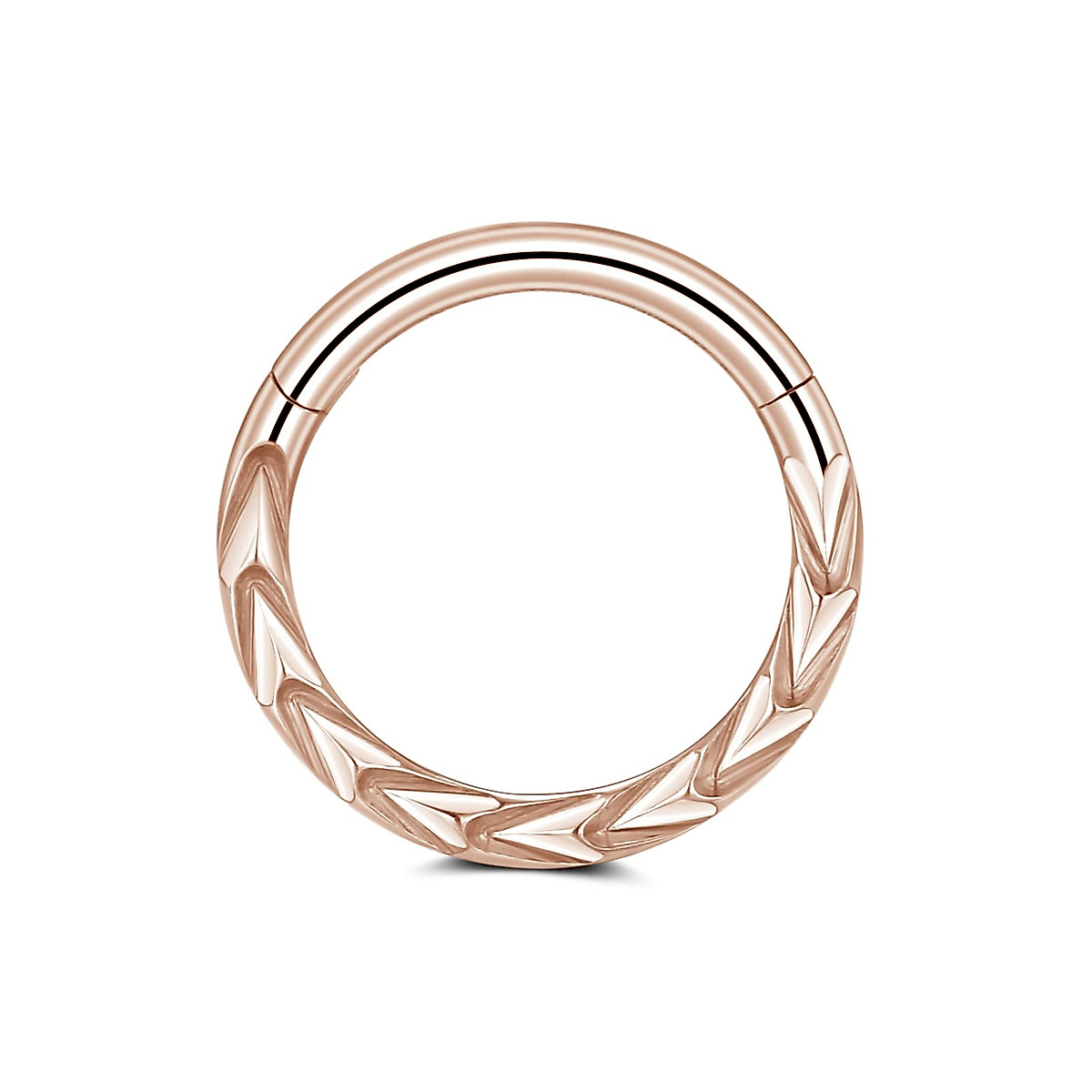 JINSAWW 16G Septum Hoop Segment Nose Rings Surgical Steel Helix Rook Conch Cartilage Nose Septum Seamless Hinged Clicker Ear Piercing Jewelry