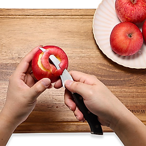 LAZIOPATER Bird Beak Paring Knife, Curved Paring Knives, German Stainless Steel, Peeling Knife, 3 Stainless Steel Rivet-Fastened Handles, Small Kitchen Knife Curved Blade, Gift Box