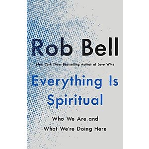 Everything Is Spiritual: Finding Your Way in a Turbulent World