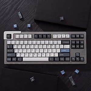 Sumgsn 172 Keys Double Shot Keycaps Cherry Profile Arctic Keycaps Set Compatible with 61/64/87/104/108 Cherry Mx Switches Mechanical Keyboard