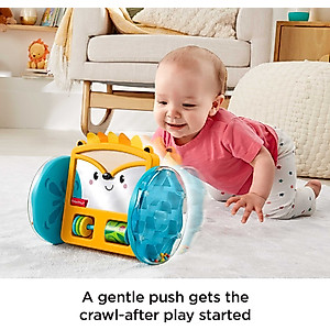 Fisher-Price Play & Crawl Hedgehog Mirror