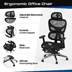 Laziiey Ergonomic Office Chair with Lumbar Support, Mesh Desk Chair with 4D Adjustable Arms Headrest, High Back Computer Chair for Home Office Work (Black)